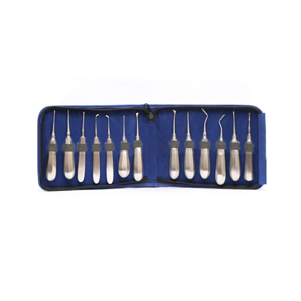 Buy API Elevator Kit (steel Handles) Online at Best Price | Dentalaaka.com