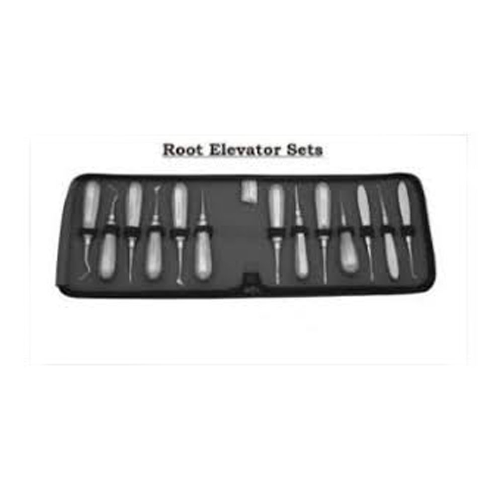 Buy API Elevator Kit (steel Handles) Online at Best Price | Dentalaaka.com