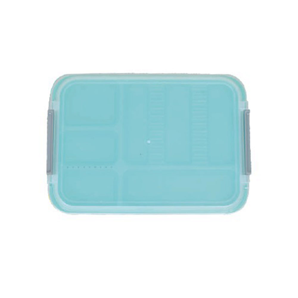 Buy API INSTRUMENT TRAY WITH LID (LARGE) Online at Best Price ...