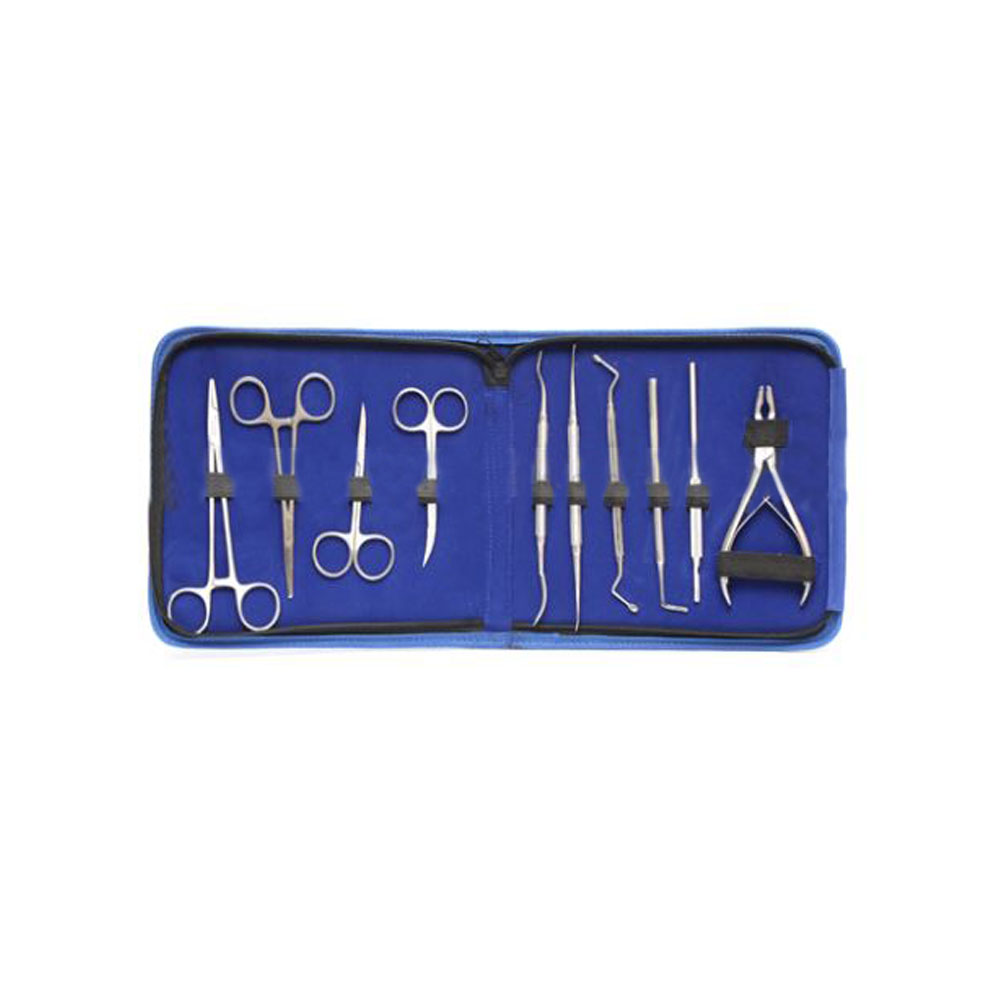 Buy API ORAL SURGERY KIT (set Of 10) Online at Best Price | Dentalaaka.com