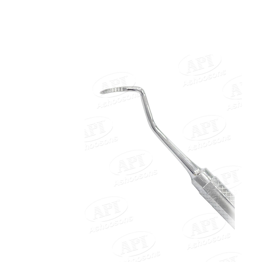 Buy API SCALER POSTERIOR 204S Online at Best Price | Dentalaaka.com