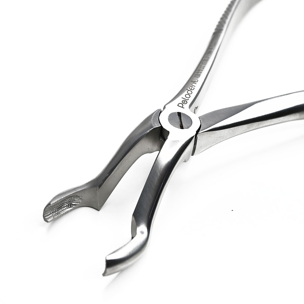 Polodent Extraction Forcep Adult Set of 12(PDEX12)
