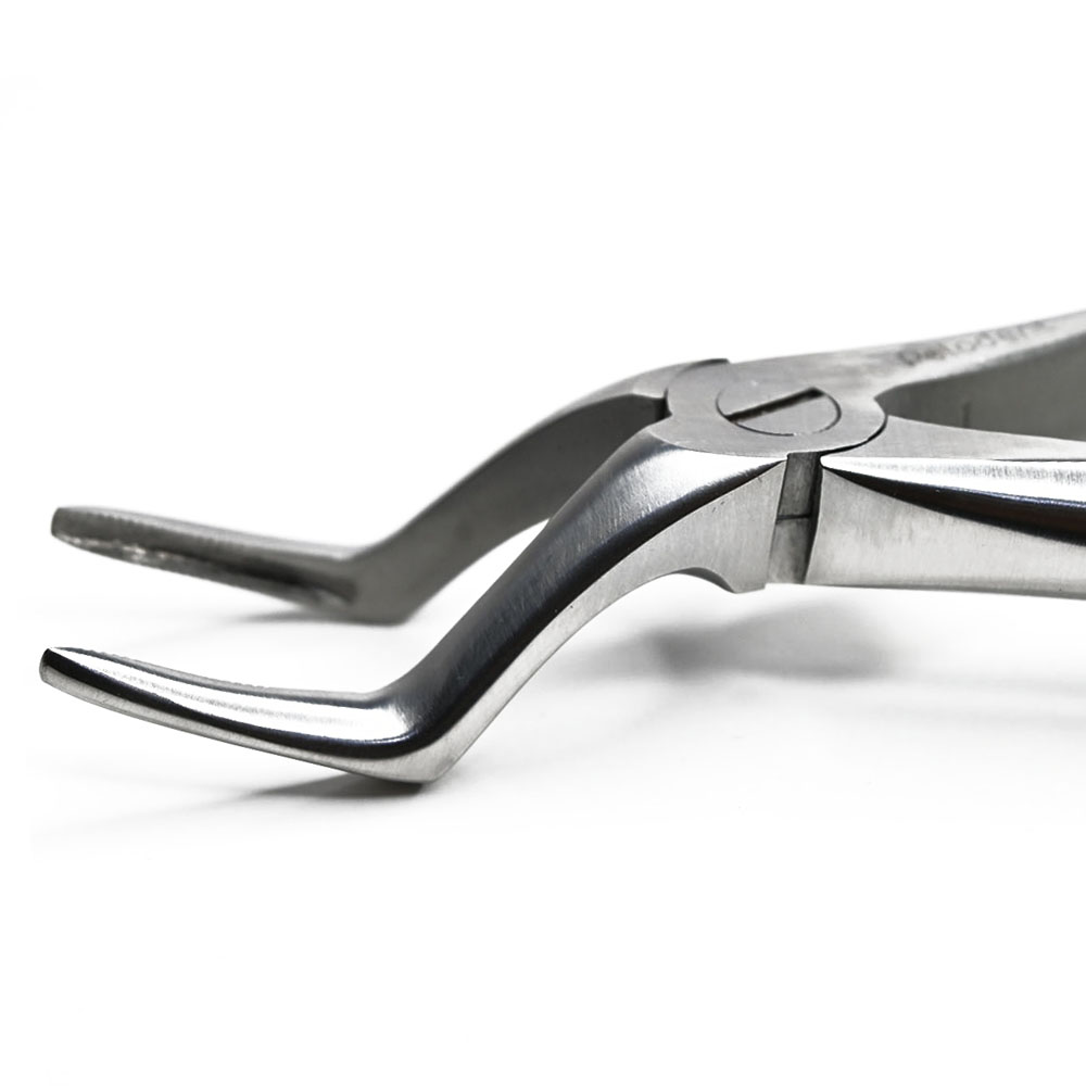 Polodent Extraction Forcep Adult Set of 12(PDEX12)