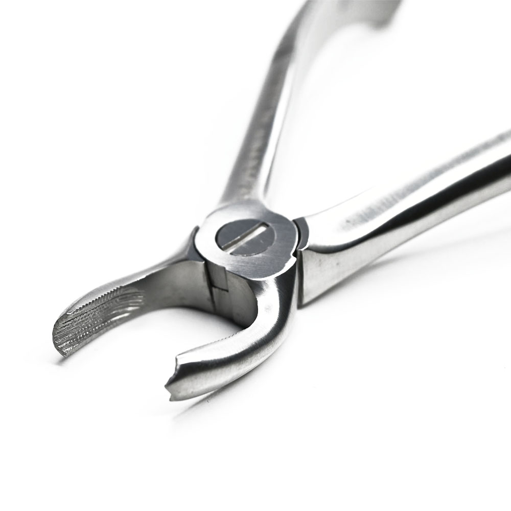 Polodent Extraction Forcep Adult Set of 12(PDEX12)