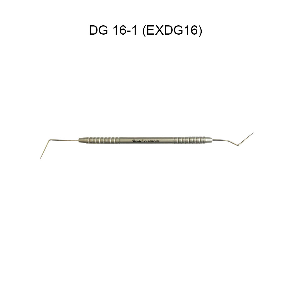 GDC Endo Explorer DG 16