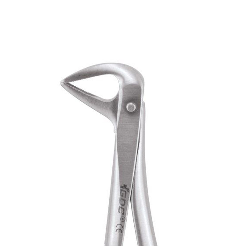 GDC Extraction Forceps Secure