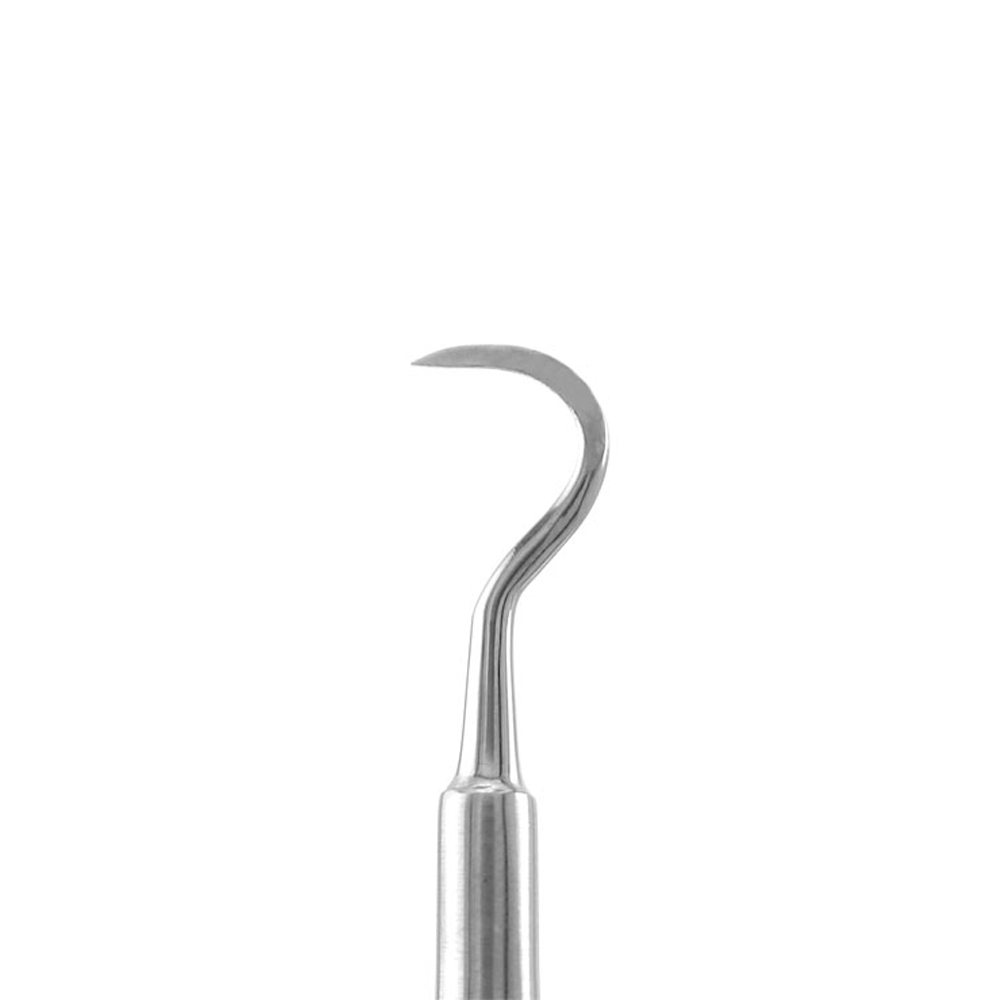 Buy GDCSupra Gingival Scaler Single End (SU15) Online at Best Price ...