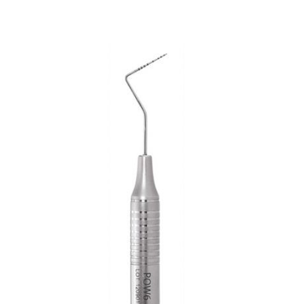Buy GDC Single End Probes Thin Willam (Pow6) Online at Best Price ...