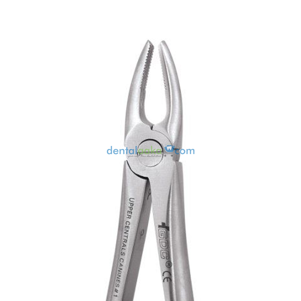 Buy GDC Upper Anteriors Extraction Forcep # 1 FX1S Online at Best Price ...