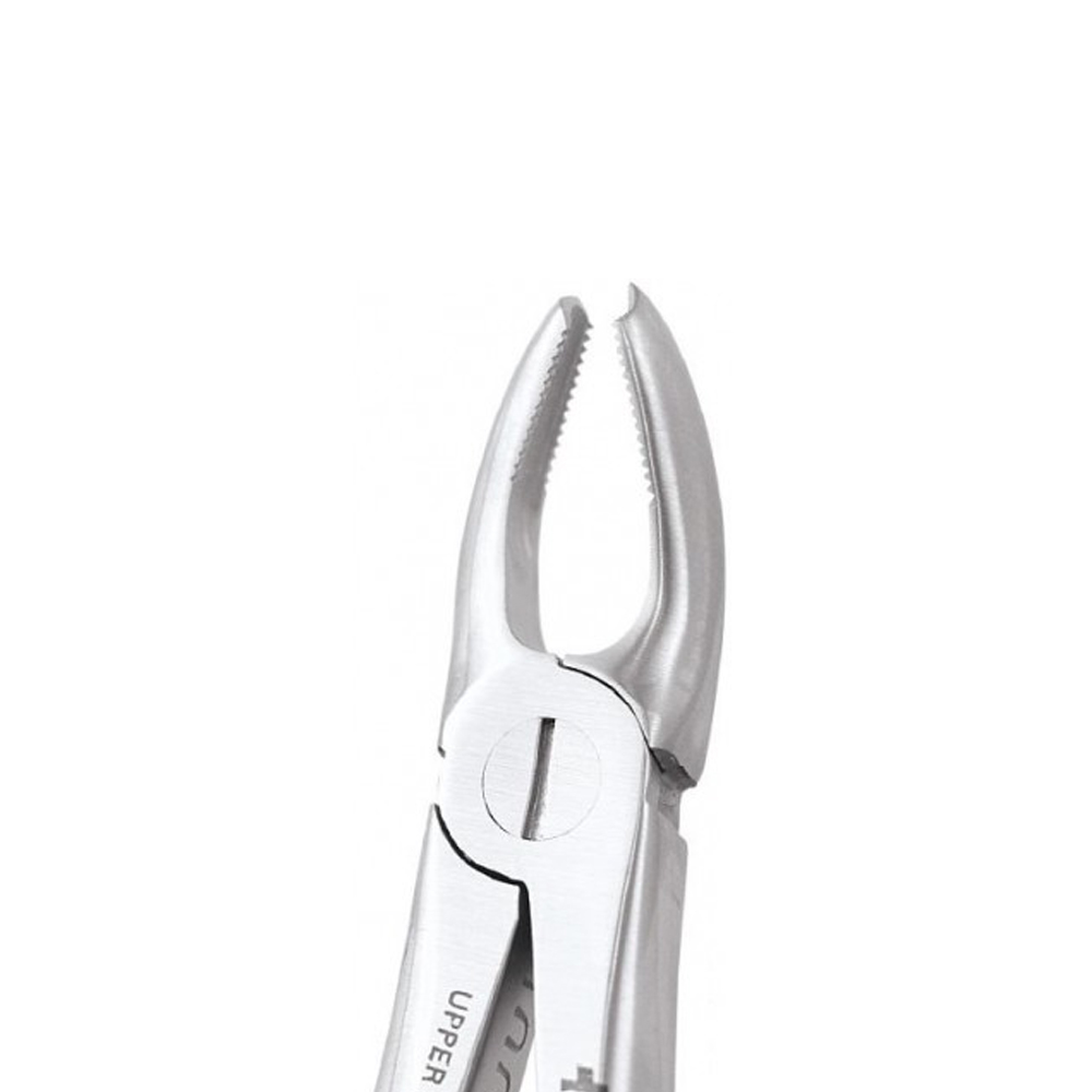 Buy GDC Upper Molars Left Extraction Forcep # 18 FX18E Online at Best ...