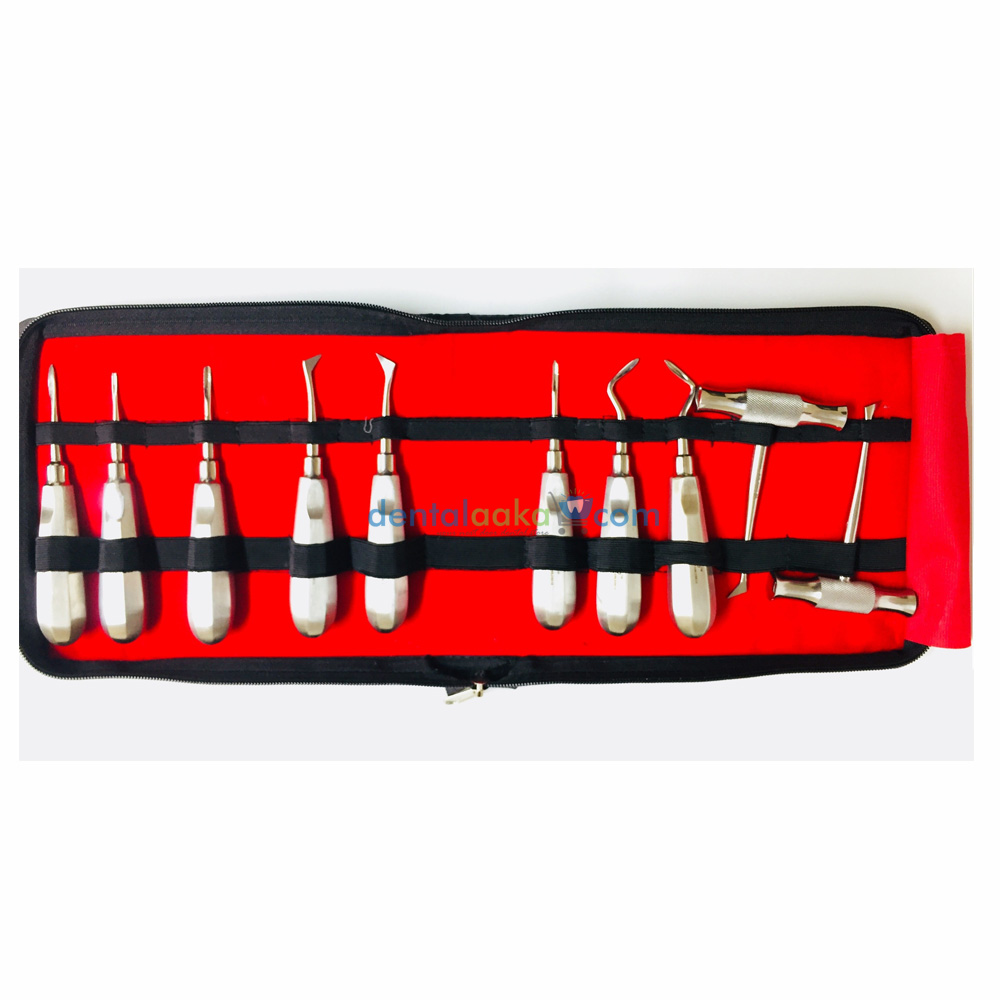 Buy ADSCO ROOT ELEVATOR SET OF 10 Online at Best Price | Dentalaaka.com