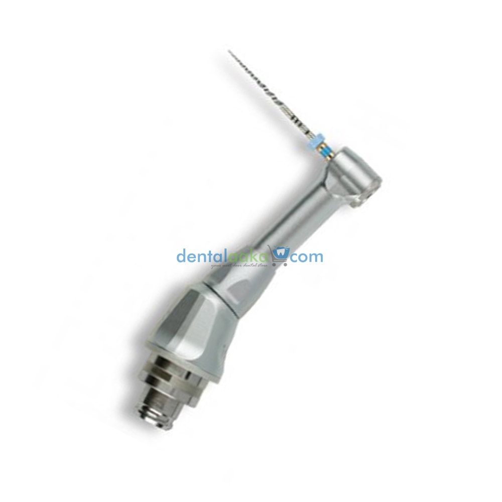 Buy Saeshin Endo H/P (Head) ACL (B) Online at Best Price | Dentalaaka.com