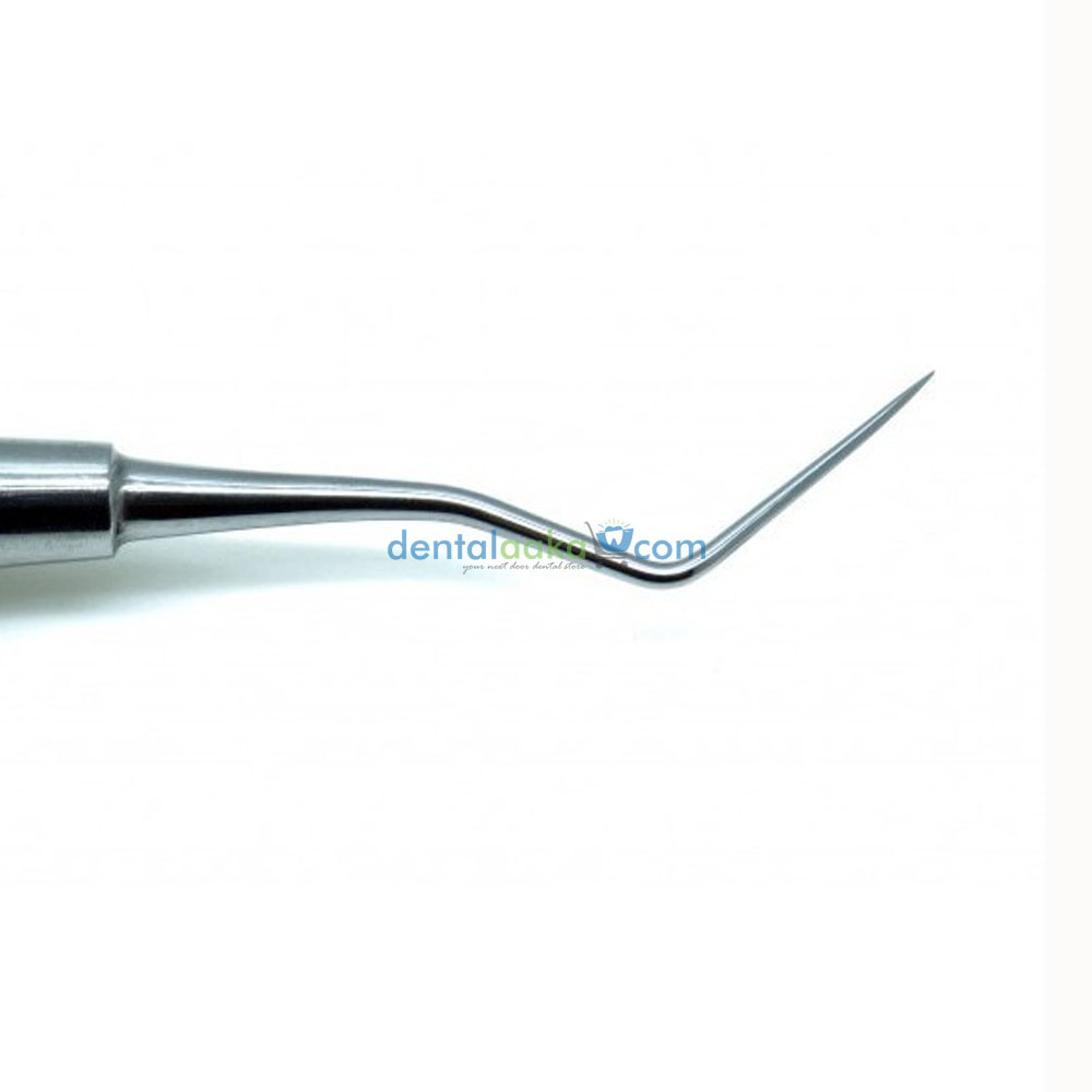 Buy WALDENT WAL-EXPLORERS ENDODONTIC EXPLORER DG 16 Online at Best ...